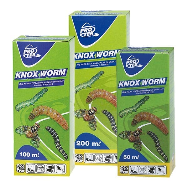 Protek Knox Worm - OBARO Online