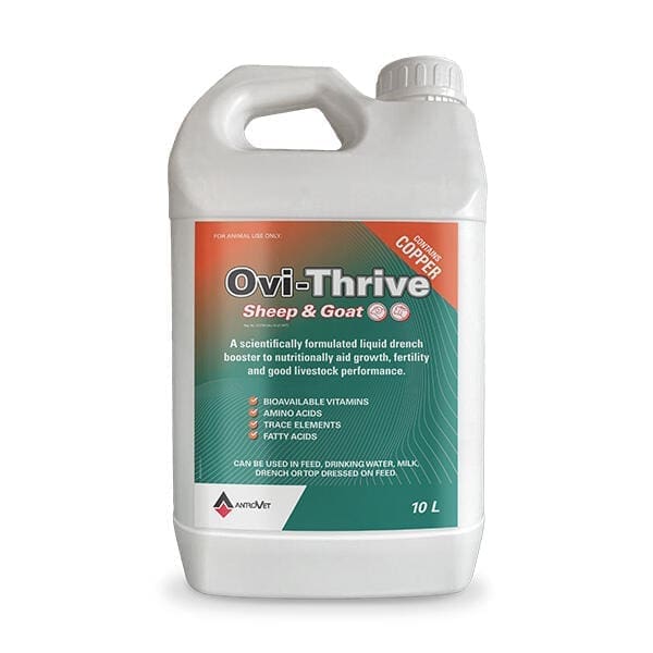 Prodose Orange - OBARO Online