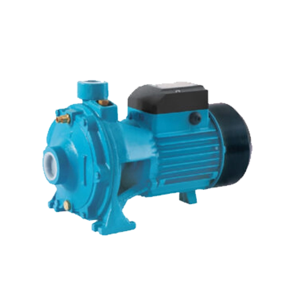RAP Multi Centrifugal Pump (1.5KW 220V) - OBARO Online
